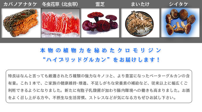 クロモリジン「ハイブリッドグルカン」をご注文翌日にはお届けします。いつもお得なサービス価格でご奉仕♪マイクロウェイ